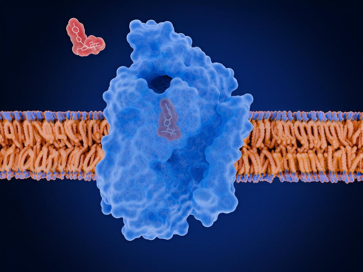 Expanding Horizons in Precision Oncology: The Future of the NTRK...